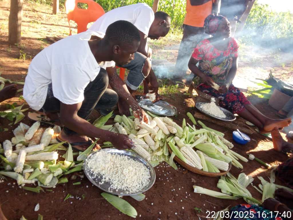 AgroVida Insights – Strengthening Food Systems in Cabo Delgado